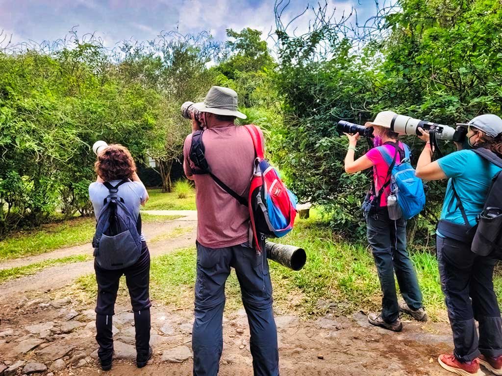 Easy Birding Travel | Wildlife, Culture, Birding Expeditions